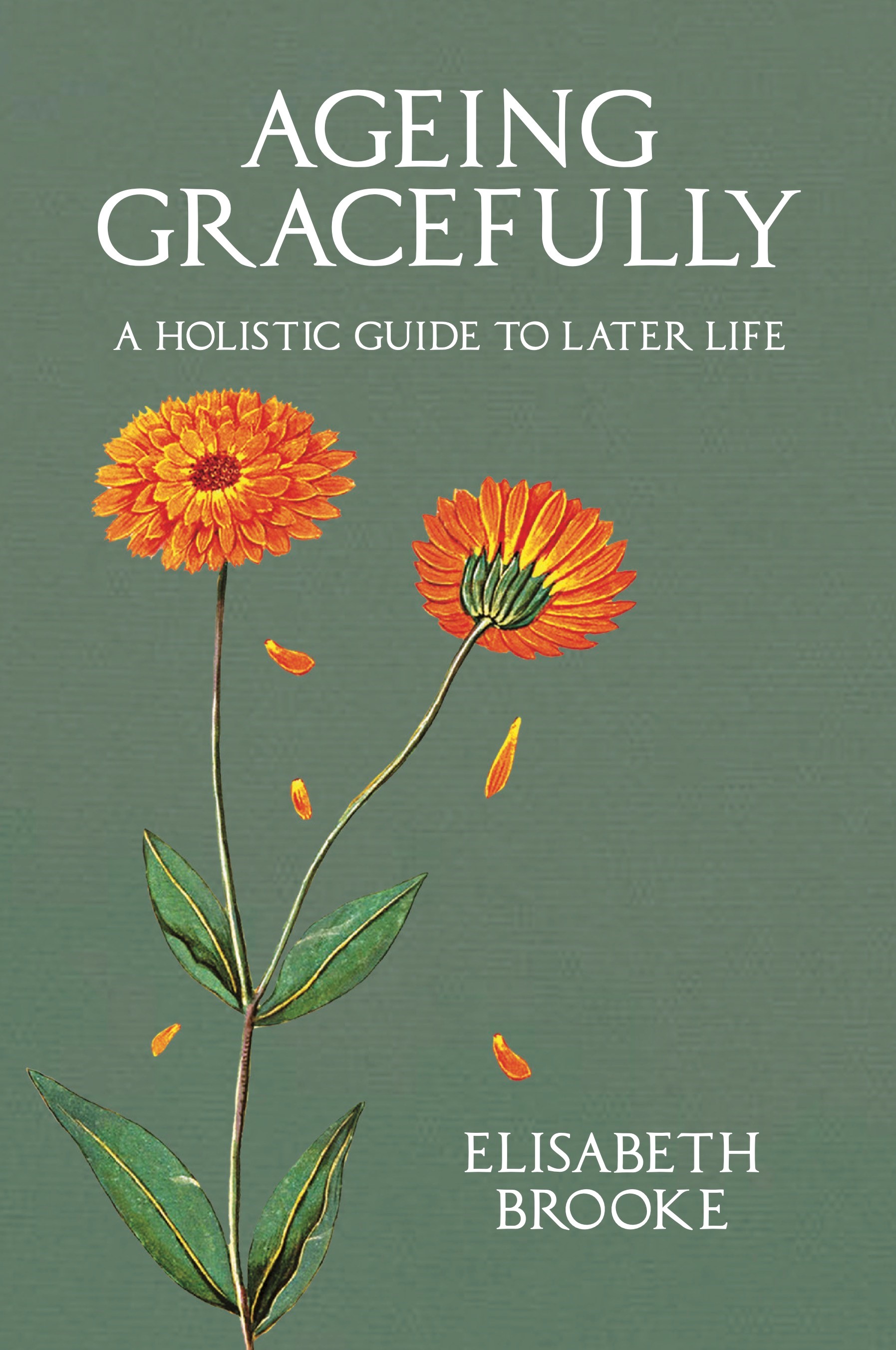 Books – Elisabeth Brooke